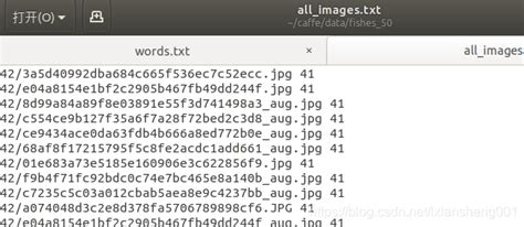 【python】制作lmdb数据集文件（文件统一命名 数据增强 获取train txt和test txt）lmdb文件时会出现killed问题