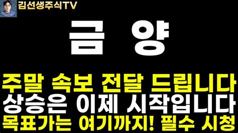 금양 주가전망 주말에도 속보 전해드립니다 상승이 끝났다고 쉽게 판단하면 안됩니다 목표가는 여기까지 필수 시청하세요