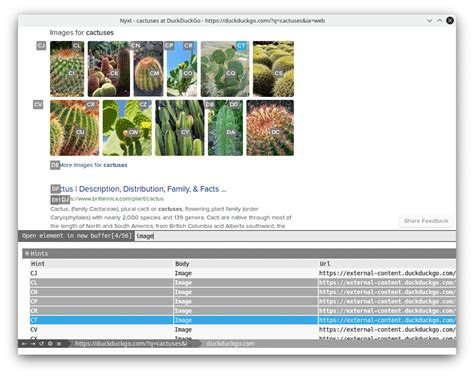 Nyxt Hacker S Dream Browser BlackMORE Ops