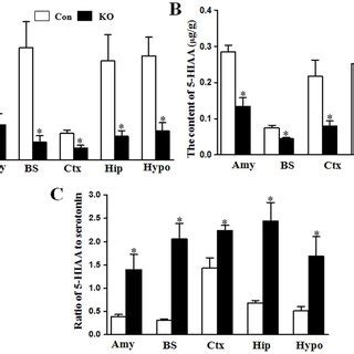 The Brain Slices Were Stained With Anti Serotonin Antibody And DAPI Download Scientific