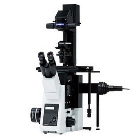 Olympus Inverted Microscope At ₹ 1599999 Ambala Id 2851121281162