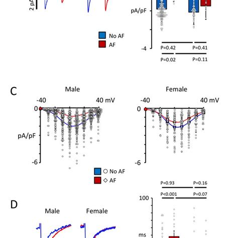 Effect Of Sex On The L Type Calcium Current Amplitude And Properties A