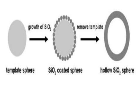 A Schematic Drawing Of The Template Assisted Synthesis Procedure Of The Download Scientific