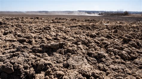 На Миколаївщині прокуратура вимагає повернення 150 га землі у державну власність Читайте на Ukr Net