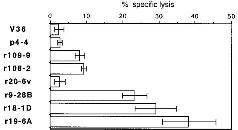 Viral Target Antigen Specificity Of Polyclonal Ctl Preparations From