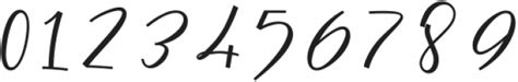 Cursive Signa Script Medium Oblique Ttf 500 Font Script What Font Is