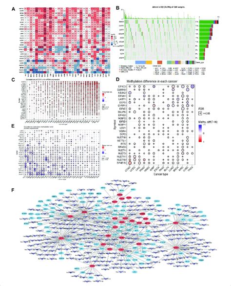 Genetic Alteration Portfolio Of M7g Rna Modification Related Regulator Download Scientific