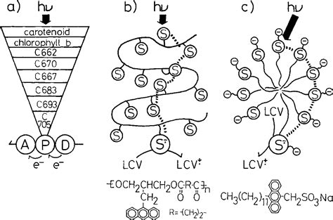 Figure 1 From A Strategy For Mimicking Photosynthesis Semantic Scholar