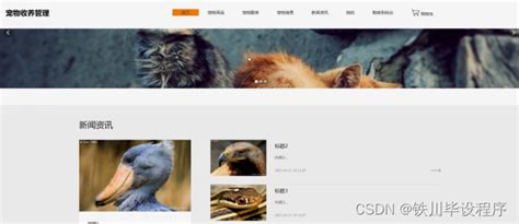 Javajspssm宠物收养管理【2024年毕设】 Csdn博客