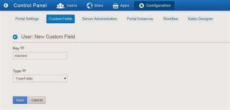 Liferay Is Easy Custom Fieldattribute Or Expando In Liferay By