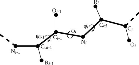 Peptidebuilder A Simple Python Library To Generate Model Peptides Peerj