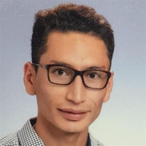 alireza rahimi senior consultant deloitte Österreich xing