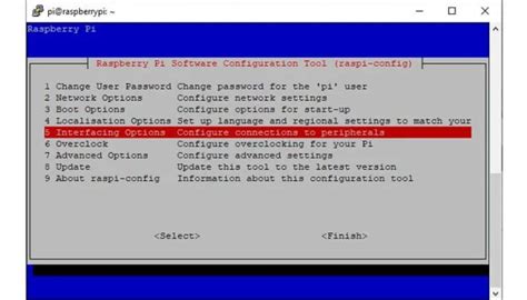 Cámara Raspberry Pi No se Detecta Sigue Estos Sencillos Pasos