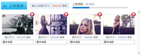 jQuery SWFUpload插件实现批量与单张图片上传附加特效轻松构建上传功能 墨鱼部落格