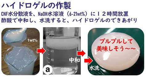 【論文 2011】naoh処理＆中和でcnfがゲル化 Youtube