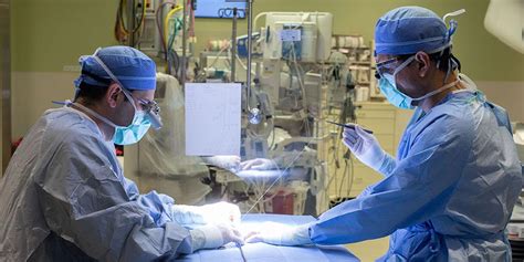 Meet The Faculty Vascular Surgery Integrated Residency Minnesota
