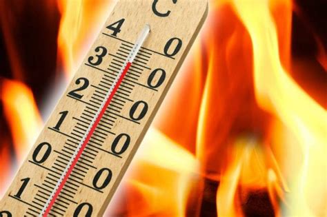 What Is The Ideal Gas Stove Flame Temperature