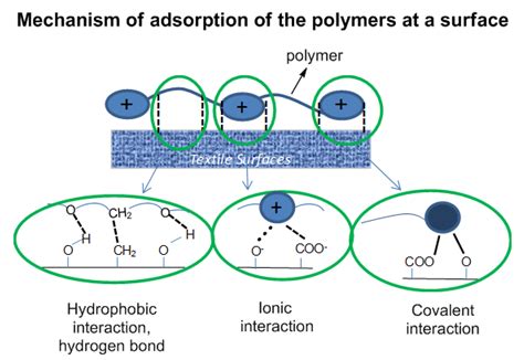 Polymers Free Full Text Azetidinium Functionalized