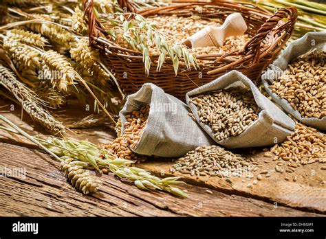Different Types Of Cereal Grains With Ears Stock Photo Alamy