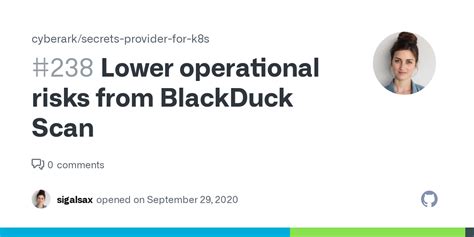 Lower Operational Risks From BlackDuck Scan Issue Cyberark Secrets Provider For K S