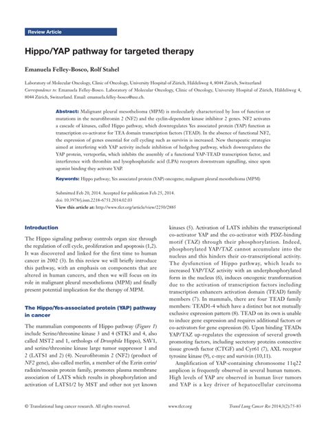 Pdf Hippoyap Pathway For Targeted Therapy