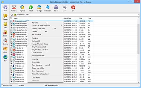 Batch Filename Editor Download Softpedia