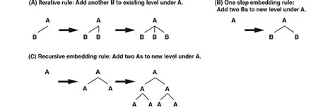 examples of rules used to generate hierarchical relationships