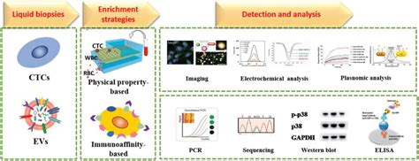 Schematic Illustration Of The Enrichment Detection And Analysis
