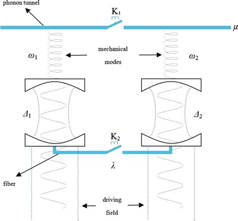 Diagrammatic Sketch Of The Controlled Synchronization Model Download