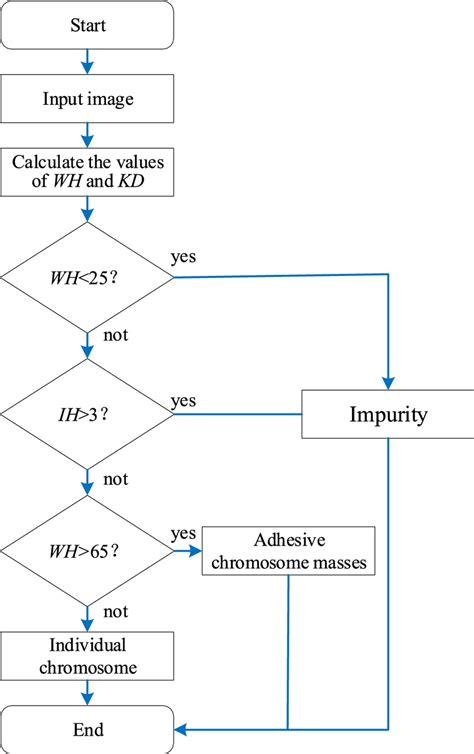 Flow Chart Of The Automatic Classification Process Download