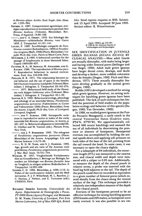 Pdf Sex Identification In Juvenile Green Iguanas Iguana Iguana By Cloacal Analysis