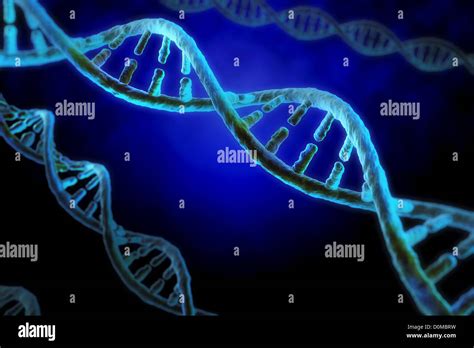 Double Helix Showing The Complexity Of DNA Stock Photo Alamy