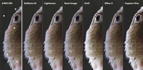 The Image Noise Reduction Challenge We Compare The Best Noise