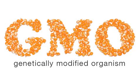 Italy Tells Eu It Will Opt Out Of Growing Gmo Crops Agweek 1