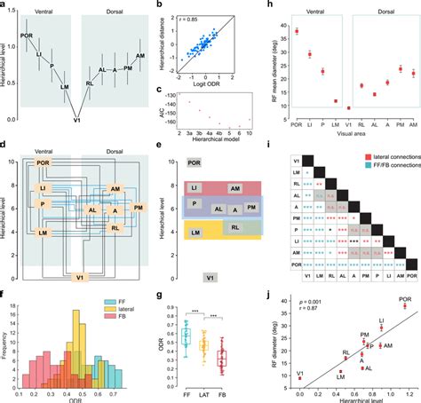 Construction Of Mouse Visual Cortical Hierarchy A Estimated