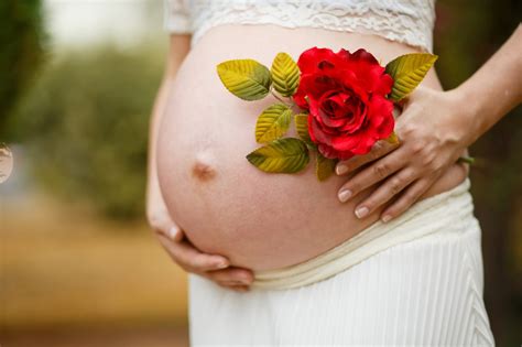 Download Pregnant Rose Royalty Free Stock Photo And Image