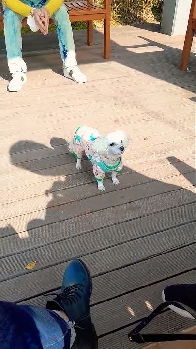 여호와 그가 네 앞에서 가시며 너와 함께 하사 너를 떠나지 아니하시며 버리지 아니하시리니 너는 두려워하지 말라 놀라지 말라 신명기31장8절 Youtube