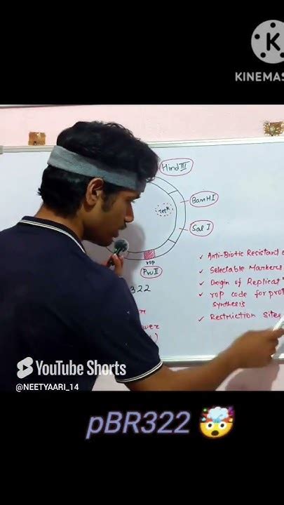 Pbr322 Easy Trick Plasmid Vector Biotech Class 12 Shorts Neet