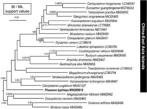 Bayesian Inference Bi Tree Of 16s Rdna For The China East Asian