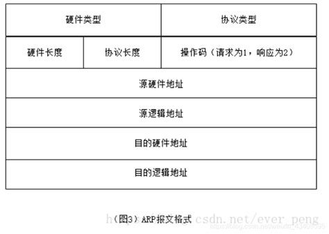 用cisco packet tracer分析arp地址解析的过程 思科arp实验 csdn博客