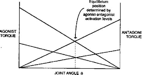 Figure 1 From A Neural Network Computational Map Approach To Reflexive