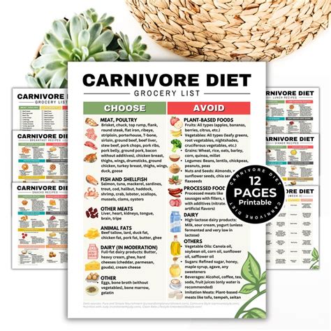 Carnivore Diet Grocery List High Protein Carnivore Diet Meal Plan Low