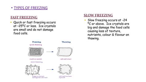 Freezing Curve Freezing System And Freezing Time Pptx