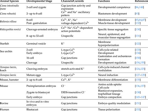 Types And Functions Of Ion Channels Currents Involved In Early Embryo Download Scientific