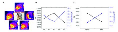 A IR Thermograms And Picture Middle Of The Temperature Sensor Download Scientific Diagram