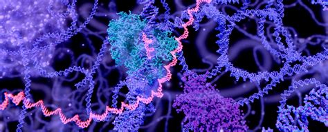 What Is The Rna World Hypothesis Sciencealert