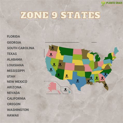 What To Plant In Zone 9 Plant Calendar Guide
