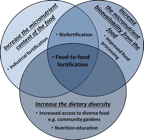 Main Food‐based Strategies To Address Micronutrient Deficiencies Caused Download Scientific
