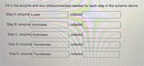 Solved Consider The Biotransformation Of The Drug