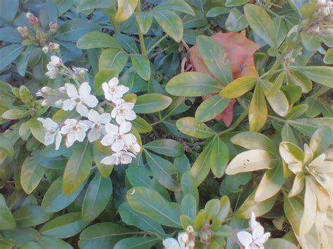 Battery Life And Camera Imo Q Review Page Techradar